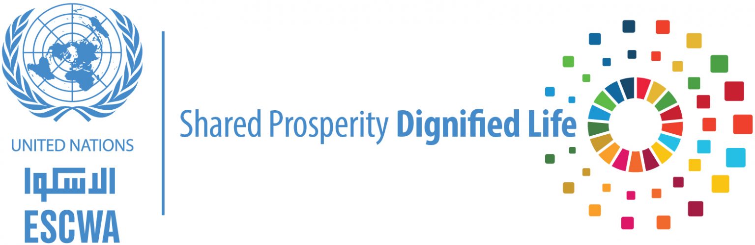 United Nations-ESCWA – Disability Hub